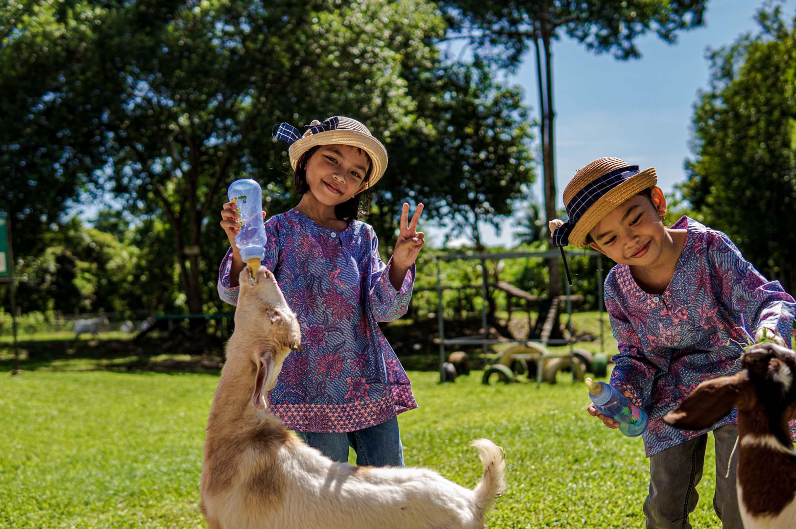 Sably Goat Haven - MalaysiaTravel